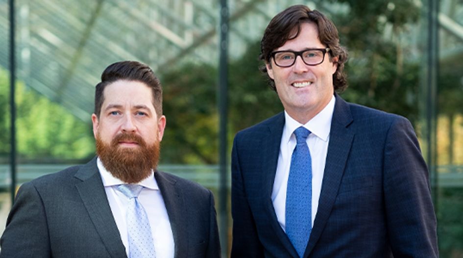 DLA Piper in Canada gains two from Gowling - Global Restructuring Review