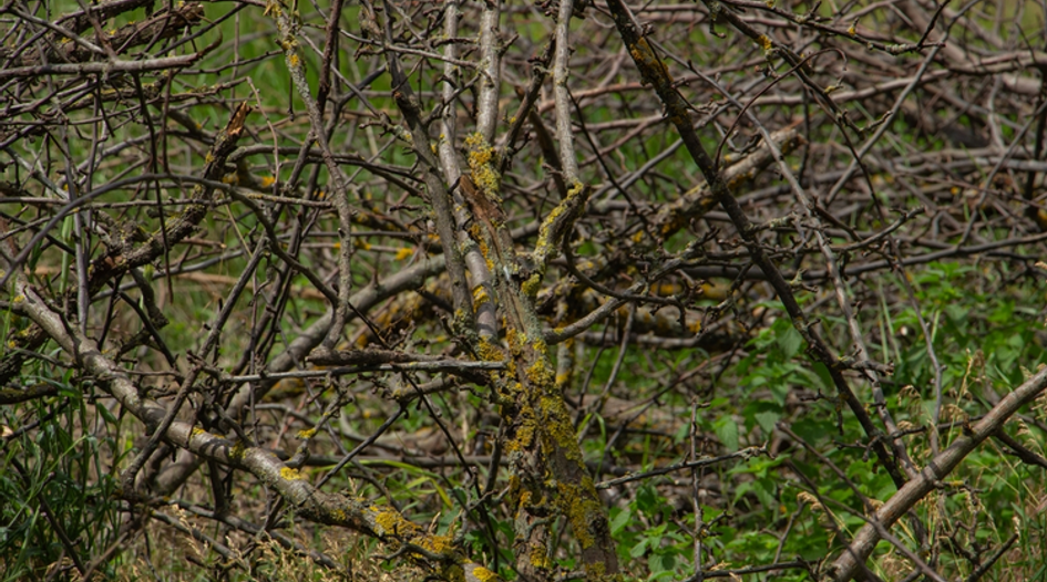 FDA seeks USPTO action to tackle patent thicketing - IAM