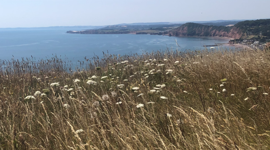 Major WDTX change side-lines Albright; 101 legislation imminent; Seven ...