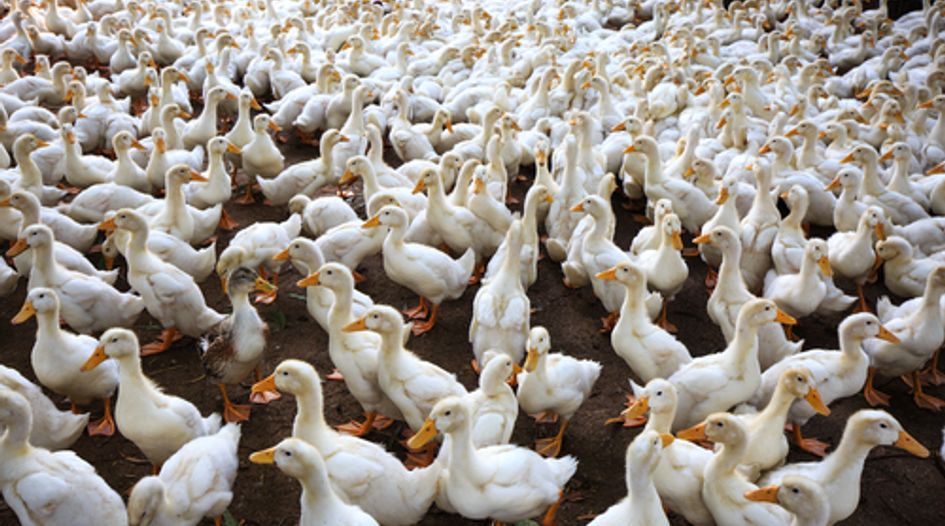 France deepens probe into fattened duck venture - Global Competition Review
