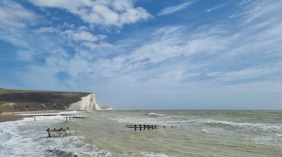 IBM IP chief stepping down; SEP/FRAND suits in Indonesia ...