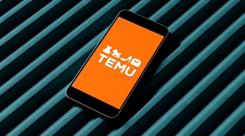 Article: Scale, speed and collaboration: Temu’s year in review - WTR