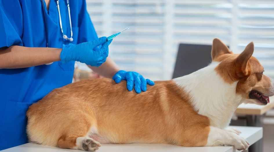 Chinese pet healthcare group seeks to appoint ROs in the Cayman Islands ...